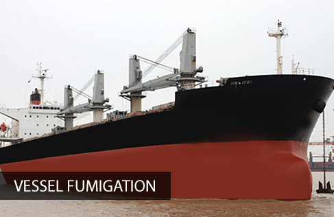 Base Fumigation Pvt Ltd - Pest Control Services | Container Fumigation ...